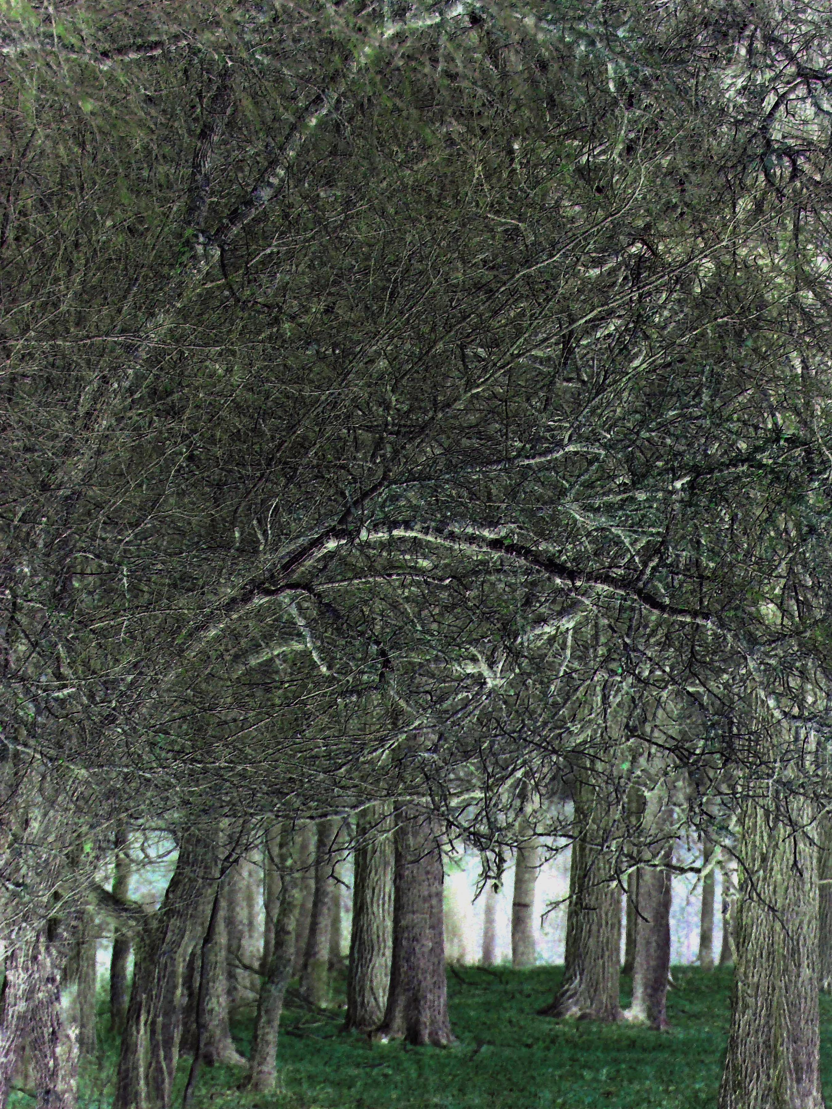 Photography by Christopher Woods – Academy of the Heart And Mind